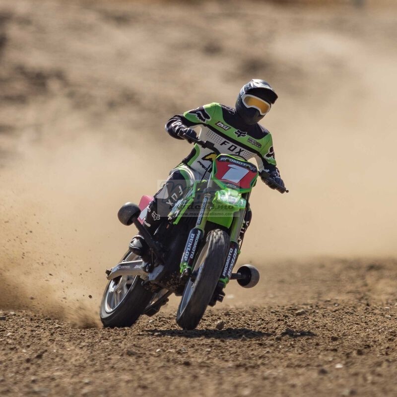 LOSI 1/4 Promoto MX Motorcycle RTR ProCircuit